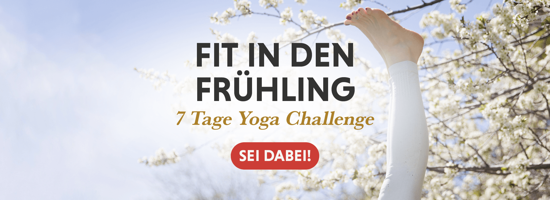 Der Baum im Yoga: So übst Du Vrikshasana richtig